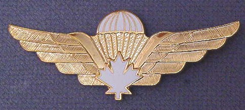 Airborne wings WHITE LEAF cb $9.99